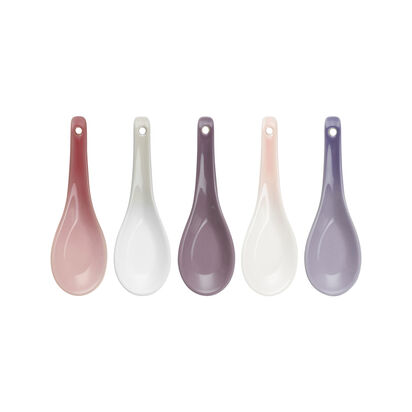x5 Chinese Spoon Set s199